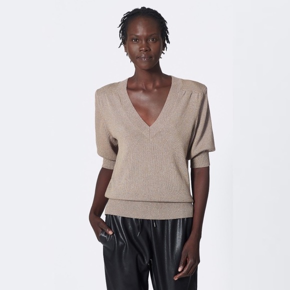 Joie | Sweaters | Joie Tammie Short Sleeve Vneck Sweater Top Shimmer ...